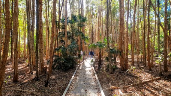 Top End | NT Now - Cracking Good Deals to the NT